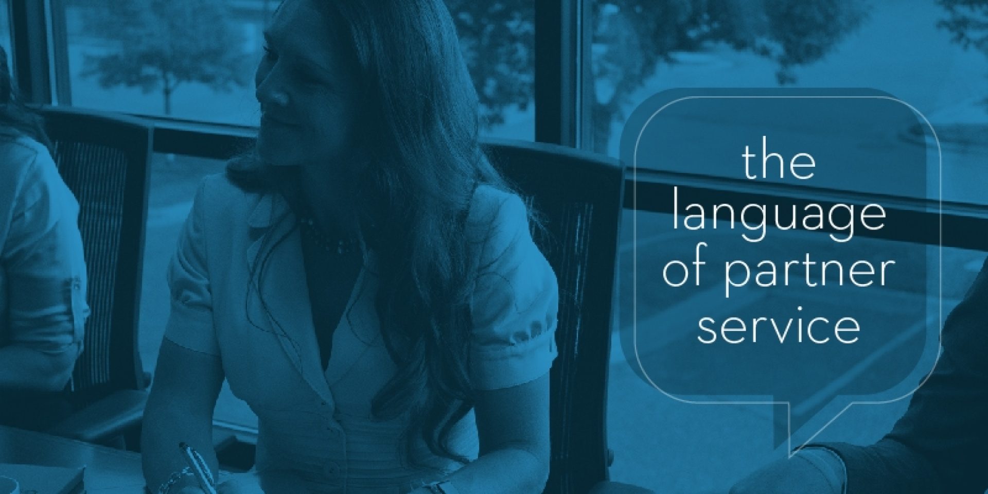The Language of Partner Service | The Servion Group